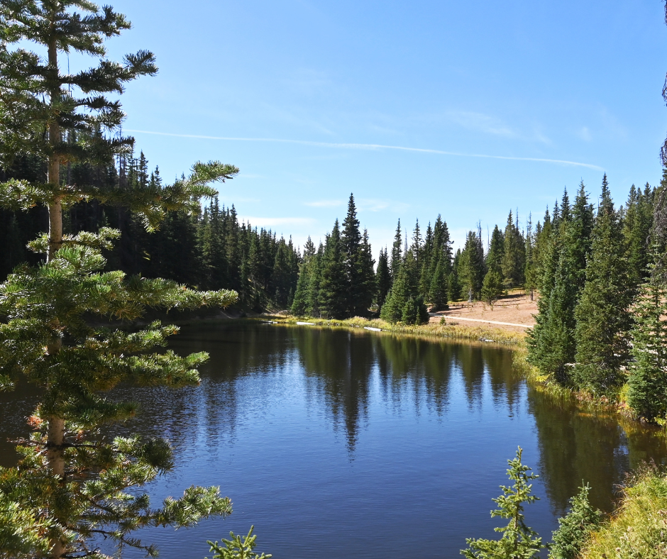 Pre-Planning Rural Water Supply - FlowMSP